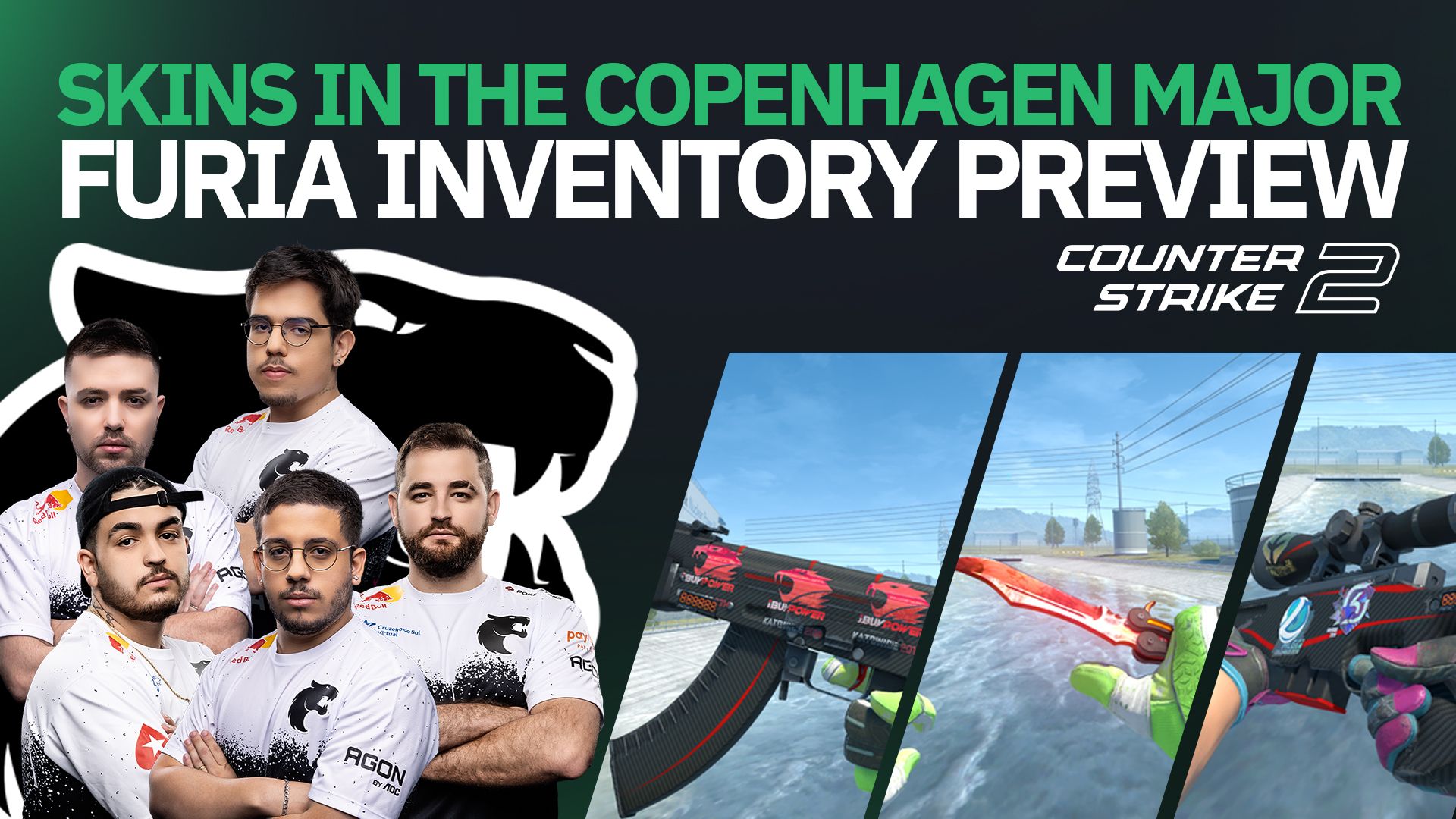 Skins in the Copenhagen 2024 Major: FURIA Inventory Preview!