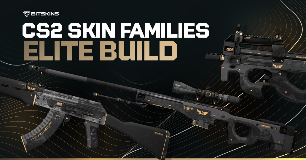 CS2 Skin Families: Elite Build
