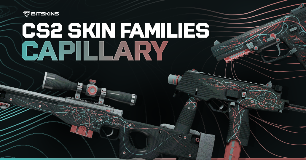 CS2 Skin Families: Capillary
