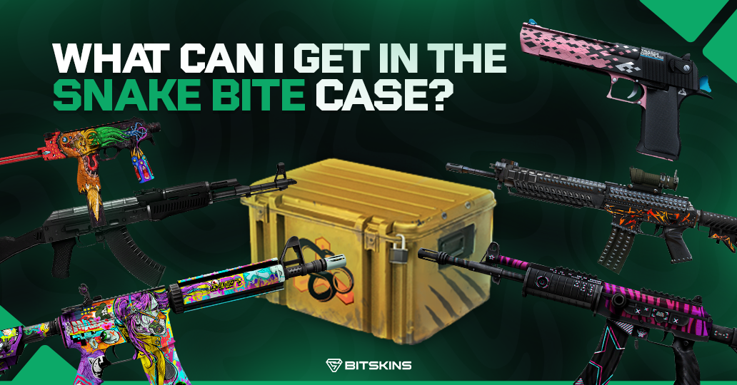 What can I get in the Snake Bite Case in CS2?