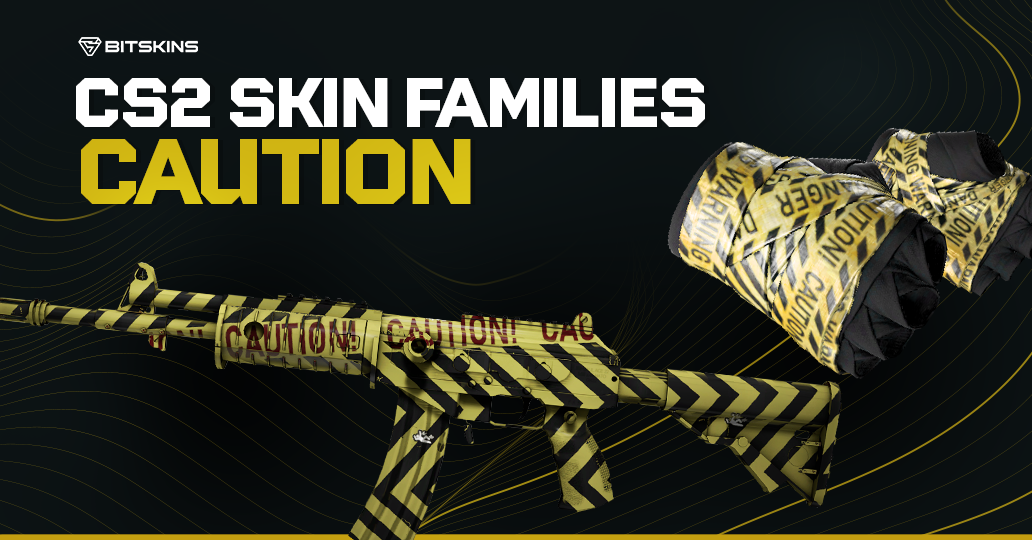 CS2 Skin Families: CAUTION!