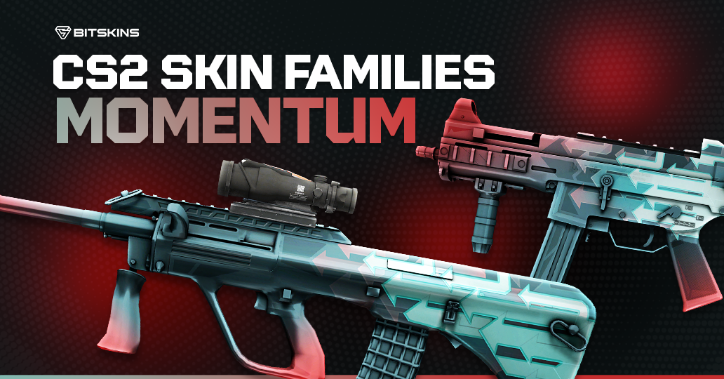 CS2 Skin Families: Momentum
