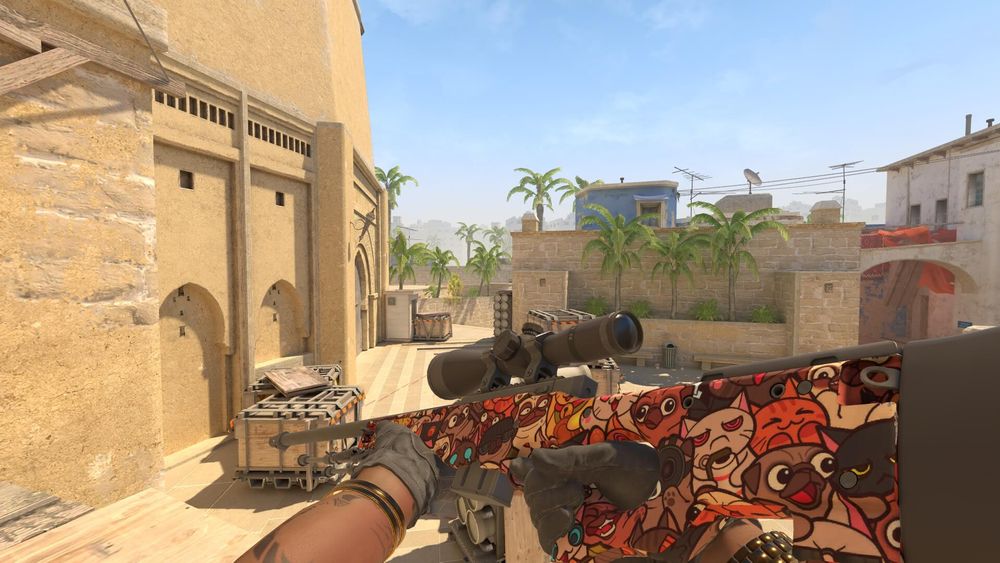 TOP 10 Best Cheap AWP Skins in CS2