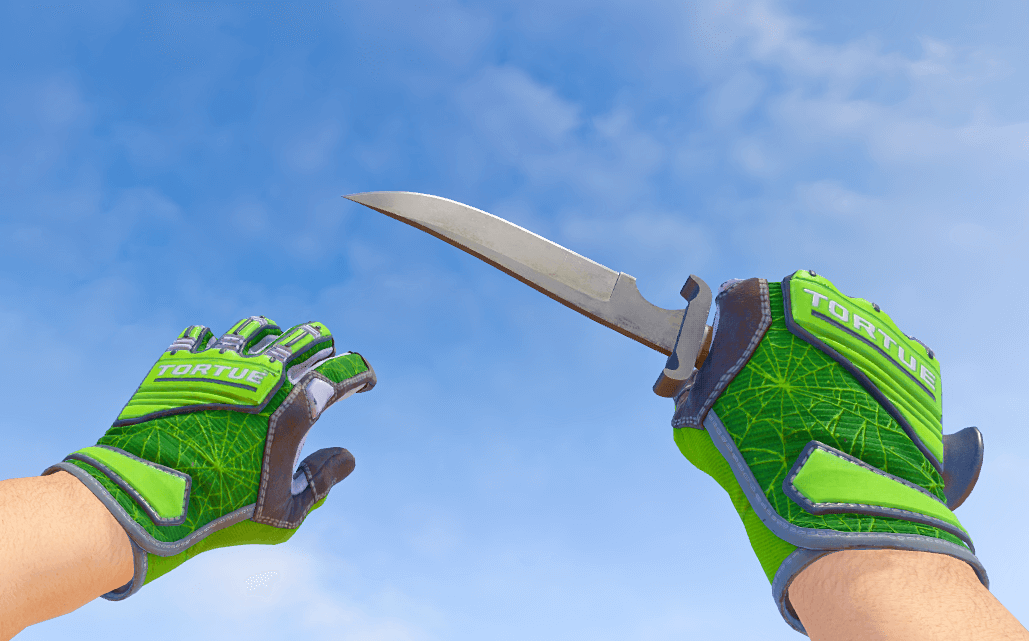 Best Green-Themed CS2 Inventory: Knife and Gloves Edition!