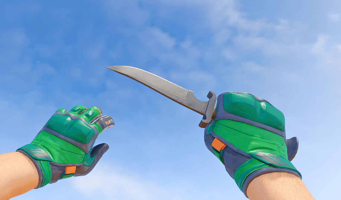 Best Green-Themed CS2 Inventory: Knife and Gloves Edition!