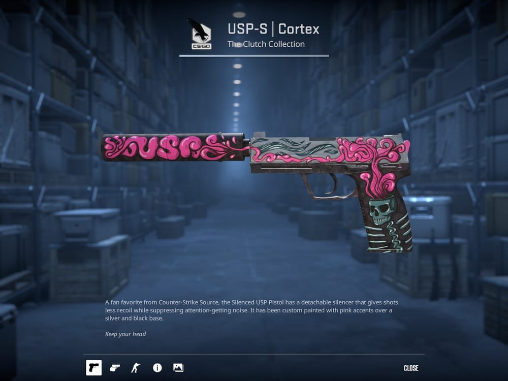 Top 5 Cheap USP-S CS2 Skins