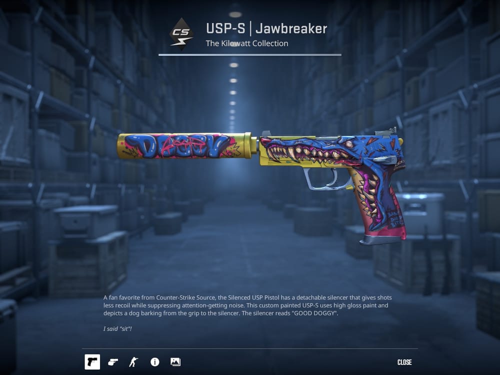 Top 5 Cheap USP-S CS2 Skins