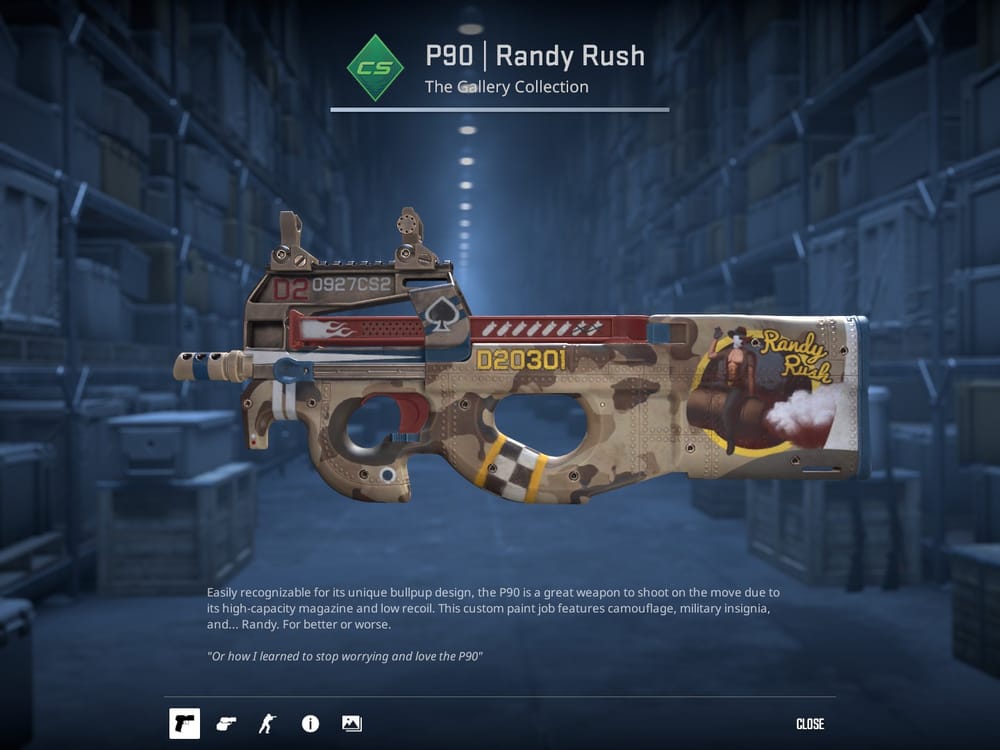 What can I get in the Gallery Case in CS2?