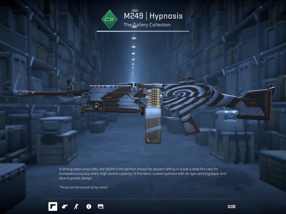 What can I get in the Gallery Case in CS2?