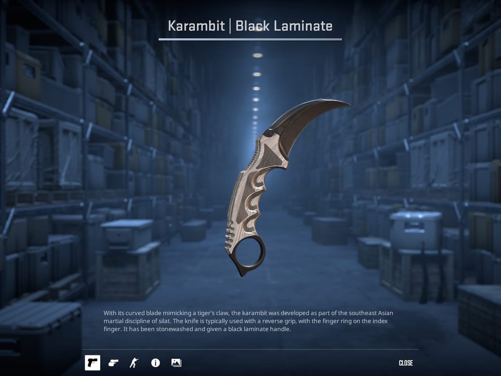 Top 5 Karambit Skins in CS2