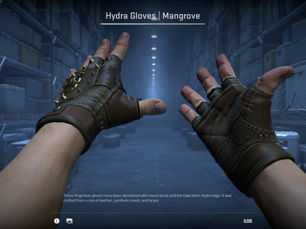 Top 4 Hydra Gloves in CS2