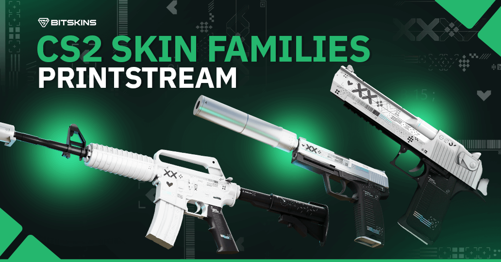 CS2 Skin Families: Printstream