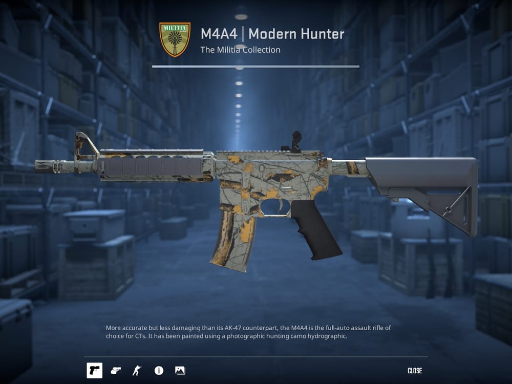 CS2 Skin Families: Modern Hunter