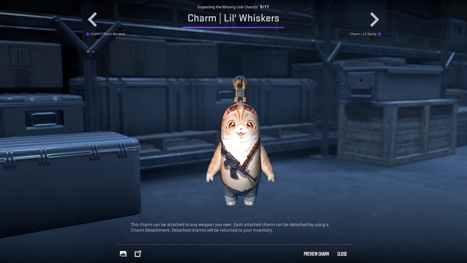 The Best Charms in CS2