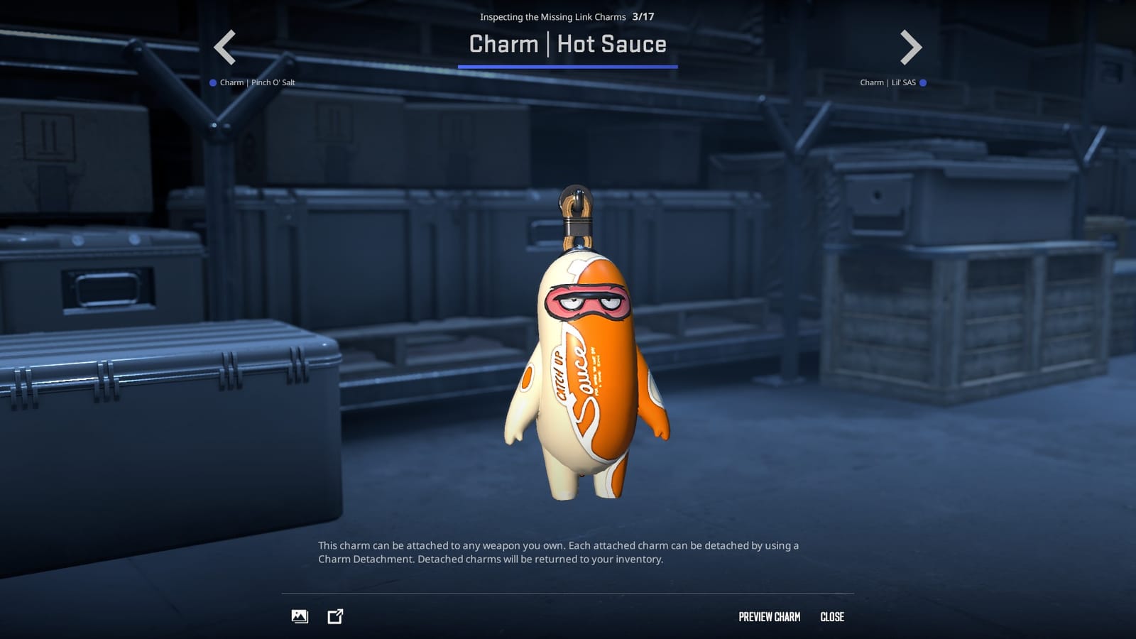 The Best Charms in CS2