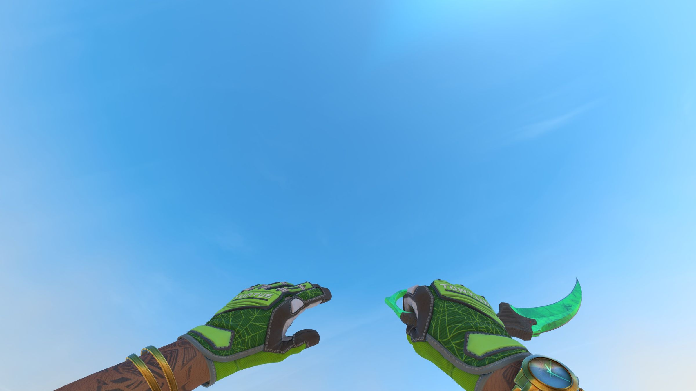 CS2 Gamma Doppler Phases Guide