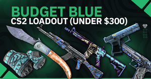 Budget Blue CS2 Loadout (Under $300)