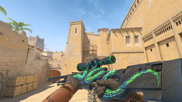 TOP 10 Best Cheap AWP Skins in CS2