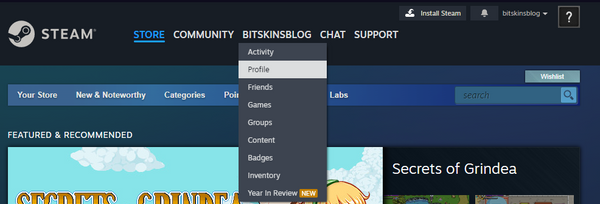 How to Set Up Your Steam Profile?