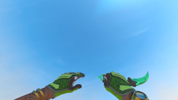 CS2 Gamma Doppler Phases Guide