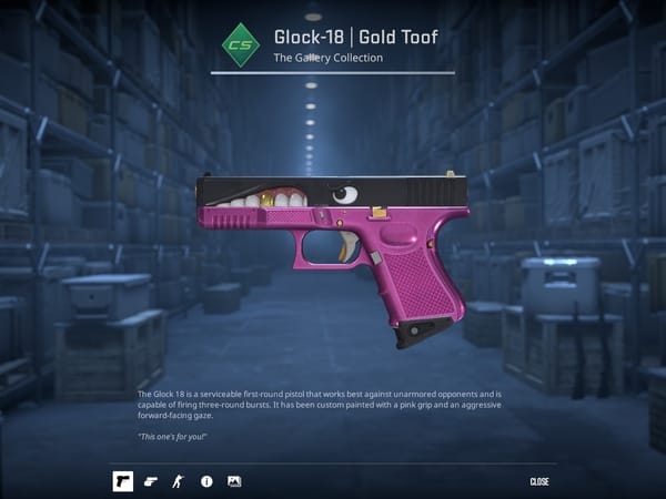 What can I get in the Gallery Case in CS2?