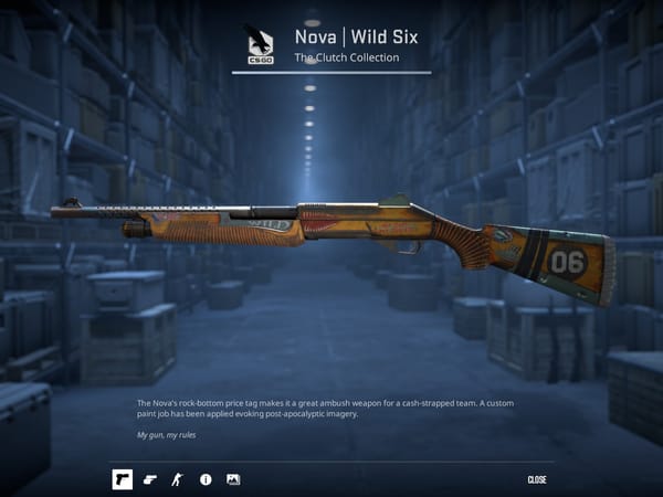 Top 5 Cheap Nova CS2 Skins